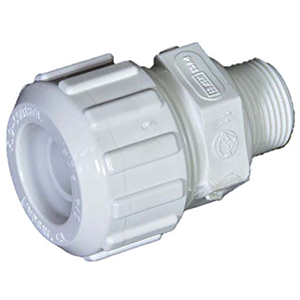 Northeastern | 1" MIP x CTS Compression Adapter