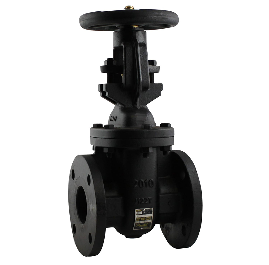 Northeastern | 4" Flange Cast Iron OS&Y Gate Valve 125lb Lead free Import